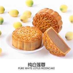 Download NSK N-CARD MEMBER APP